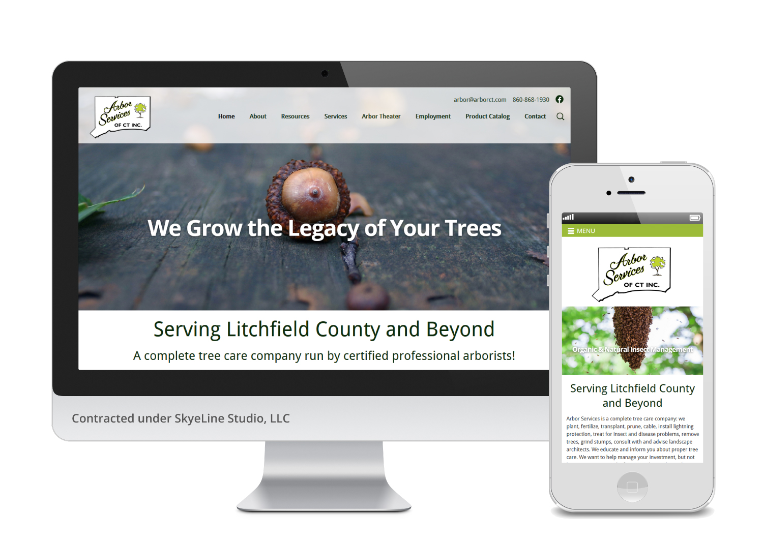 Web Design - Kevin Ferrisi